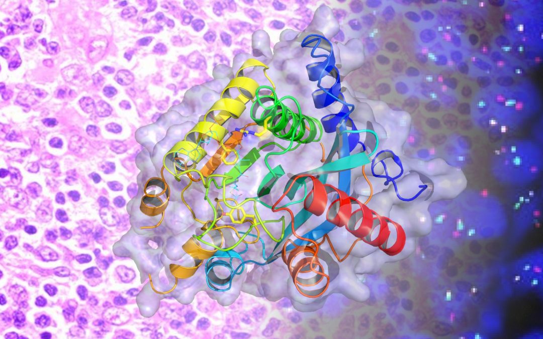 Hommage au Pr. Rémy Nizard | Médecine