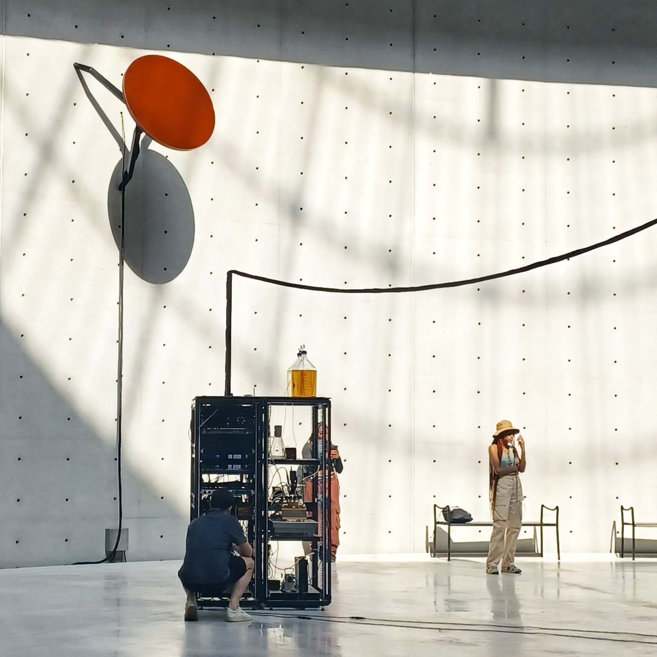 L'actualité de la Faculté des Sciences - 19 juillet 2022