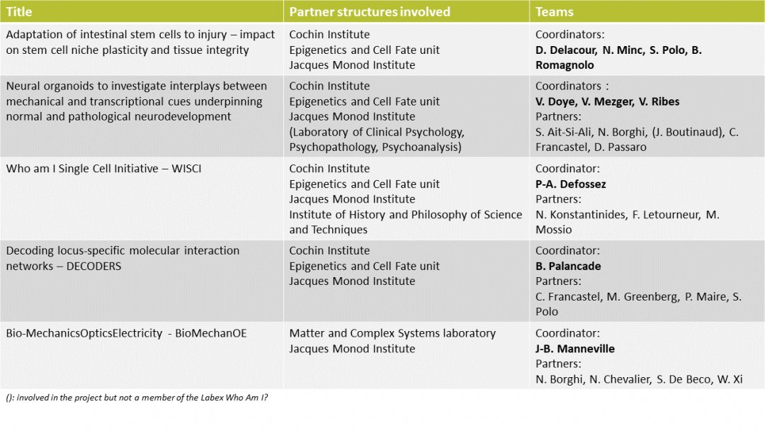 Programme Transverse | Who am I